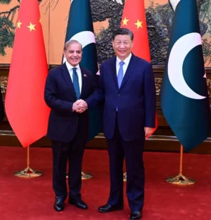 China, Pakistan are good brothers who share weal and woe: Xi Jinping ...